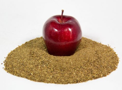 APPLE FIBER - LaBudde Group