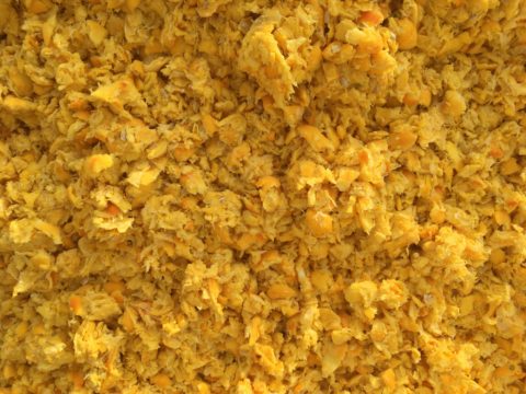 CITRUS PULP - LaBudde Group